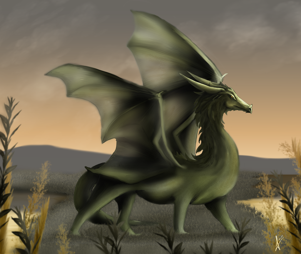 TUTORIALS - Empress Suma